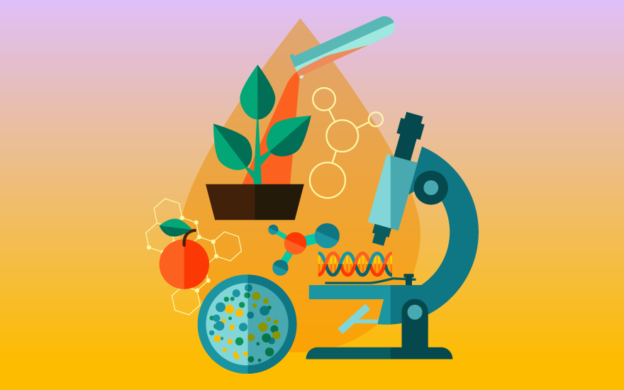 MSc Botany Syllabus Major Subjects Disciplines Leverage Edu msc-botany-syllabus-major-subjects-disciplines-leverage-edu