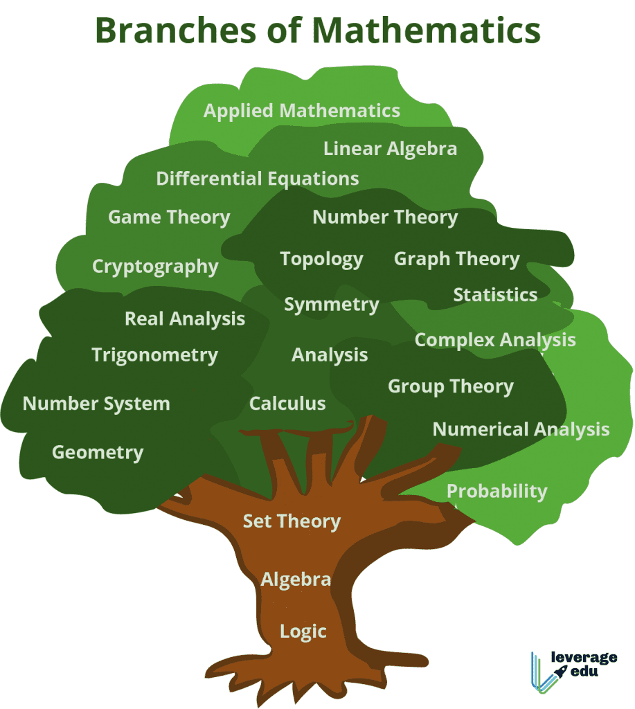 Branches Of Mathematics 1 Leverage Edu