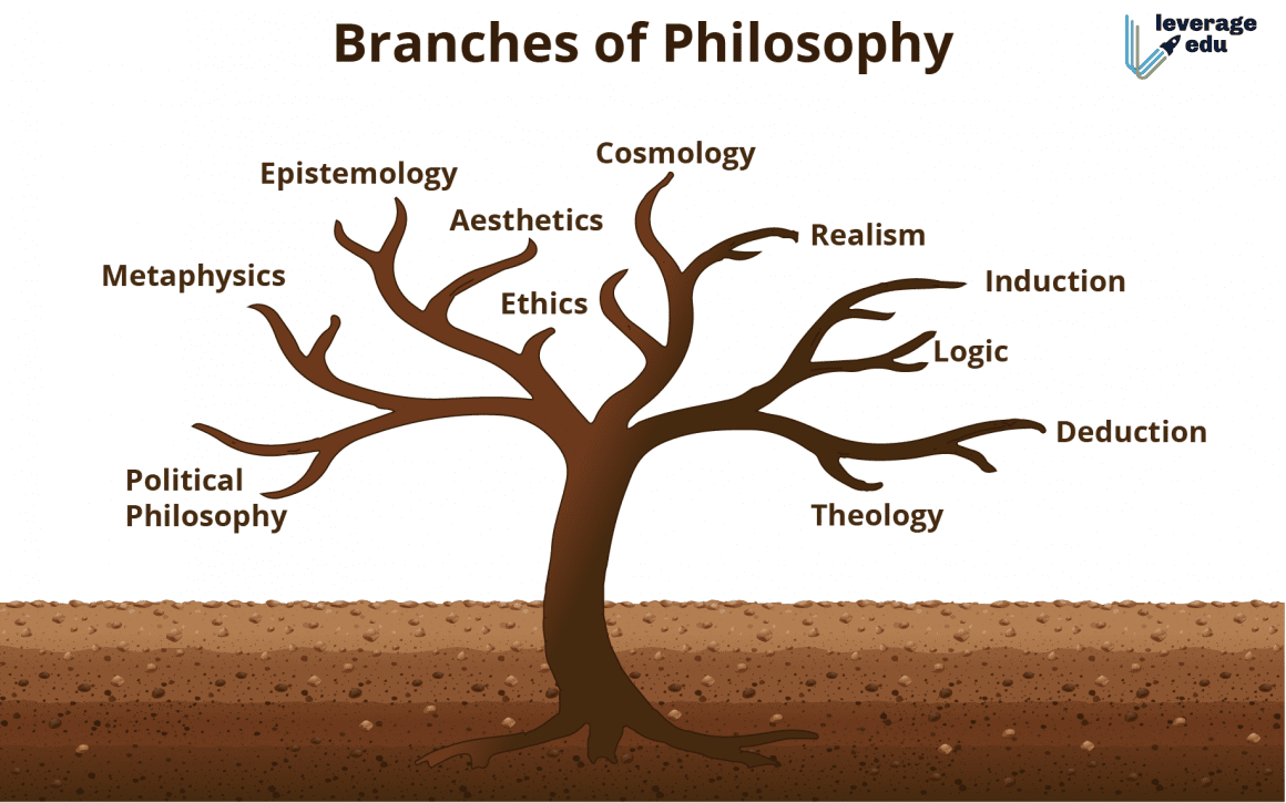 Branches Of Philosophy Epistemology Ethics More Leverage Edu